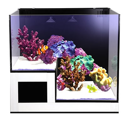 NUVO Concept Abyss Panorama Clearview Lid – ClearView Lids